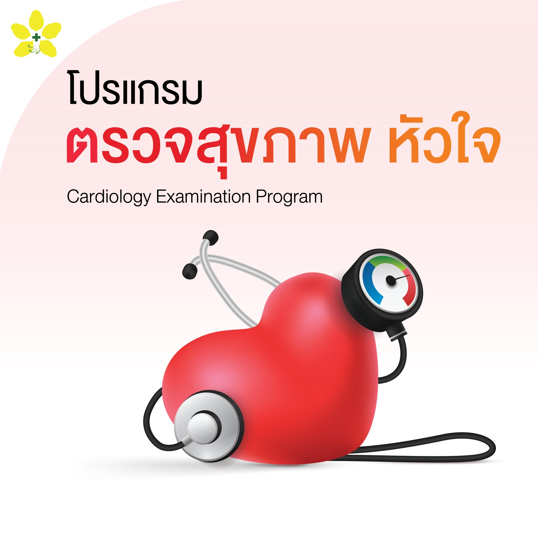โปรแกรมตรวจสุขภาพหัวใจ ประจำปี 2567 Heart Check Up Program 2024